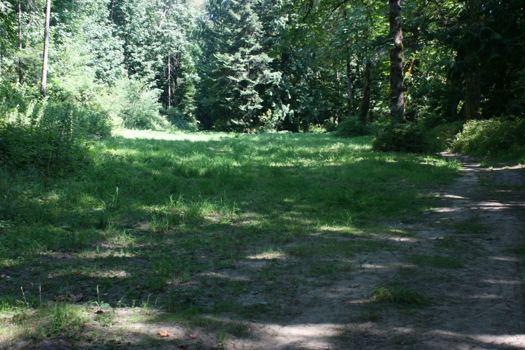 IMG_3529 - Chemainus River Campground