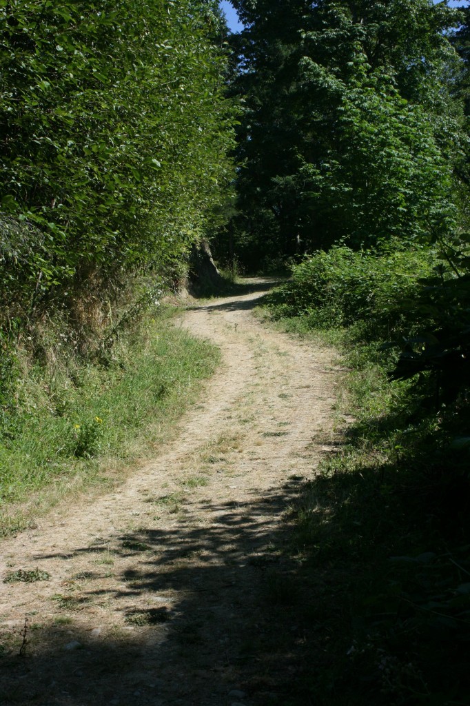 IMG_3523 - Chemainus River Campground